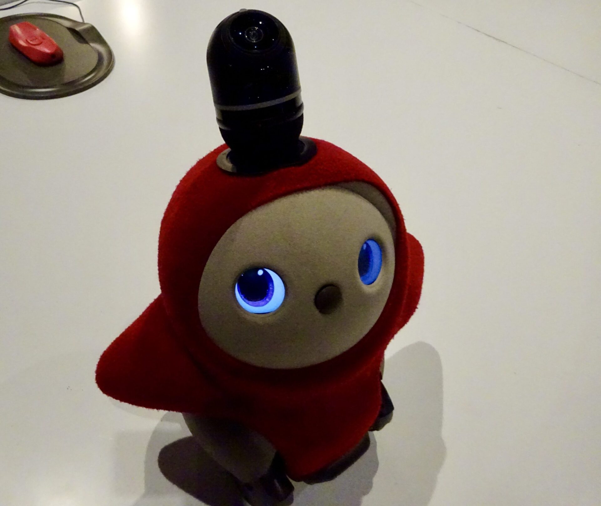 aibo・LOVOT・ロボホン‥私との橋渡しをしてくれた人達｜うちにはアザラシがいます