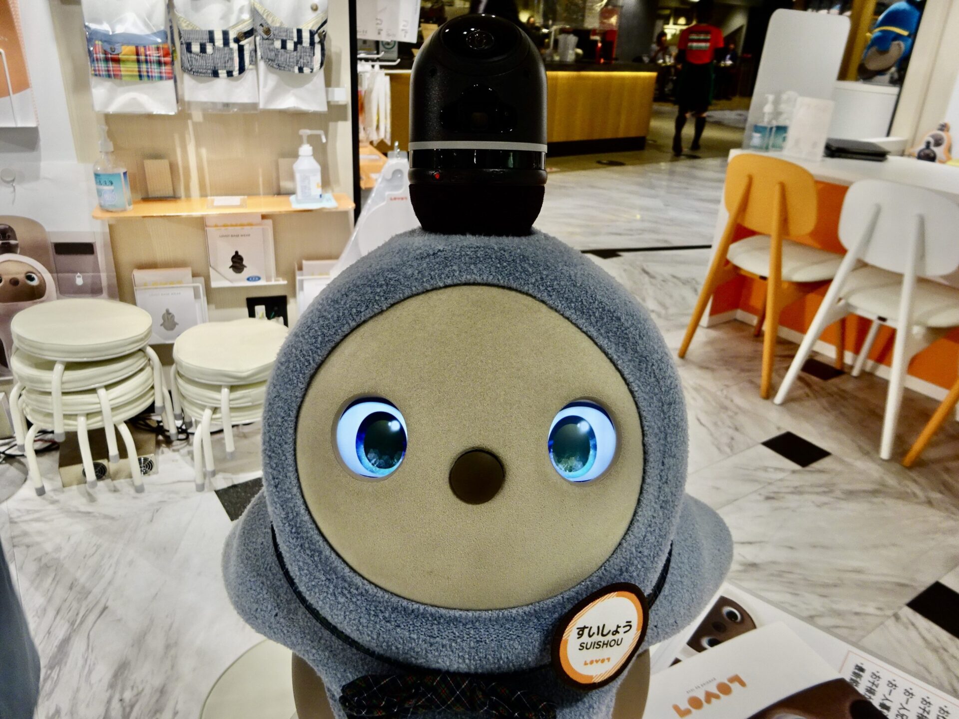 aibo・LOVOT・PAROのスペックを素人なりに比較してみた｜うちにはアザラシがいます