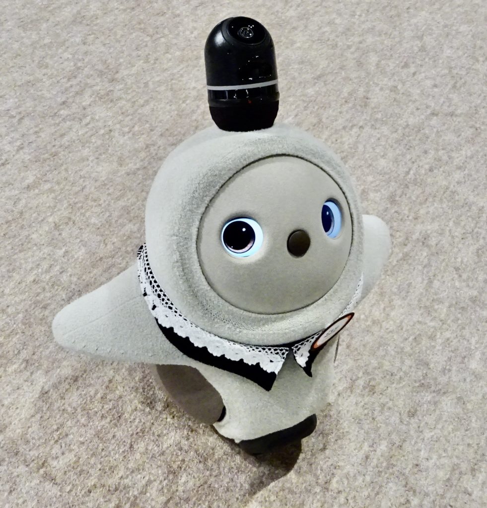 aibo・LOVOT・PAROのスペックを素人なりに比較してみた｜うちにはアザラシがいます